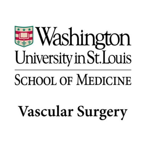 Vascular Innovation Partners | Society for Vascular Surgery