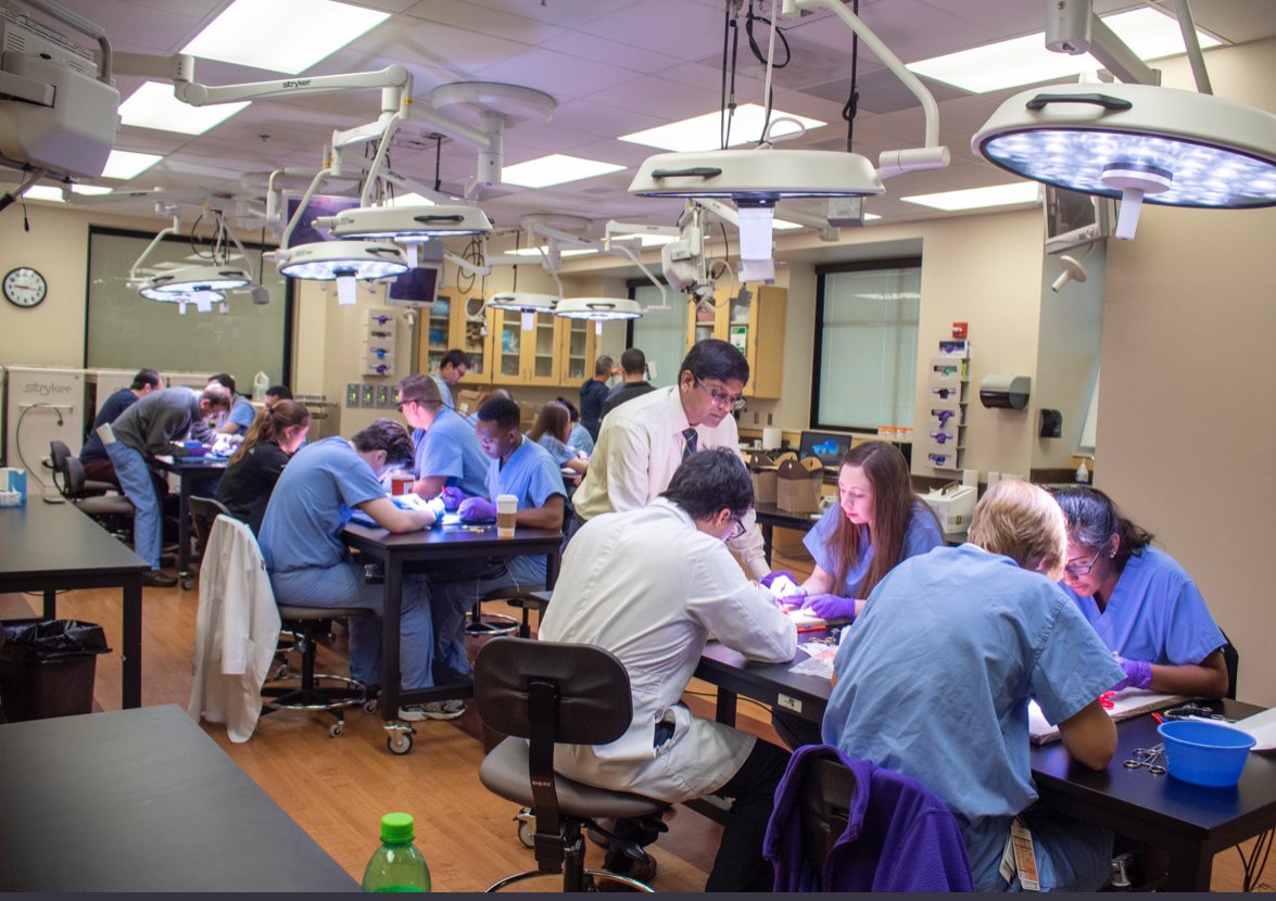 Quality | Society for Vascular Surgery
