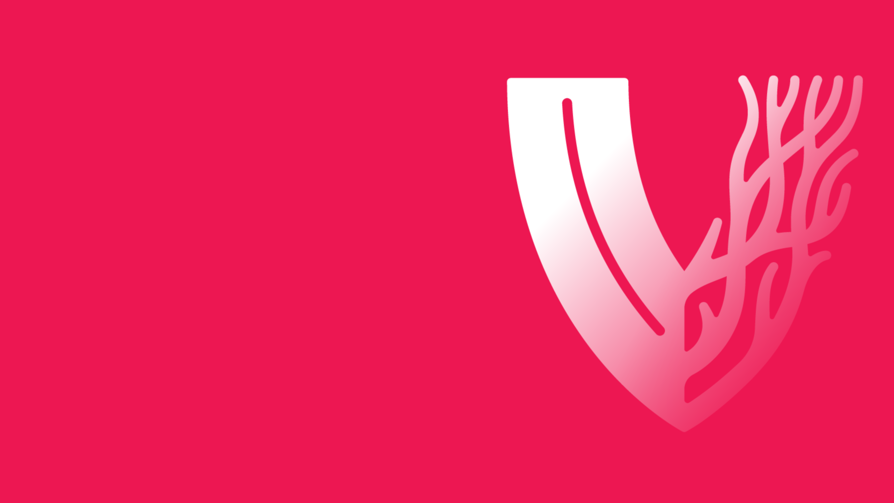 Program | Society for Vascular Surgery