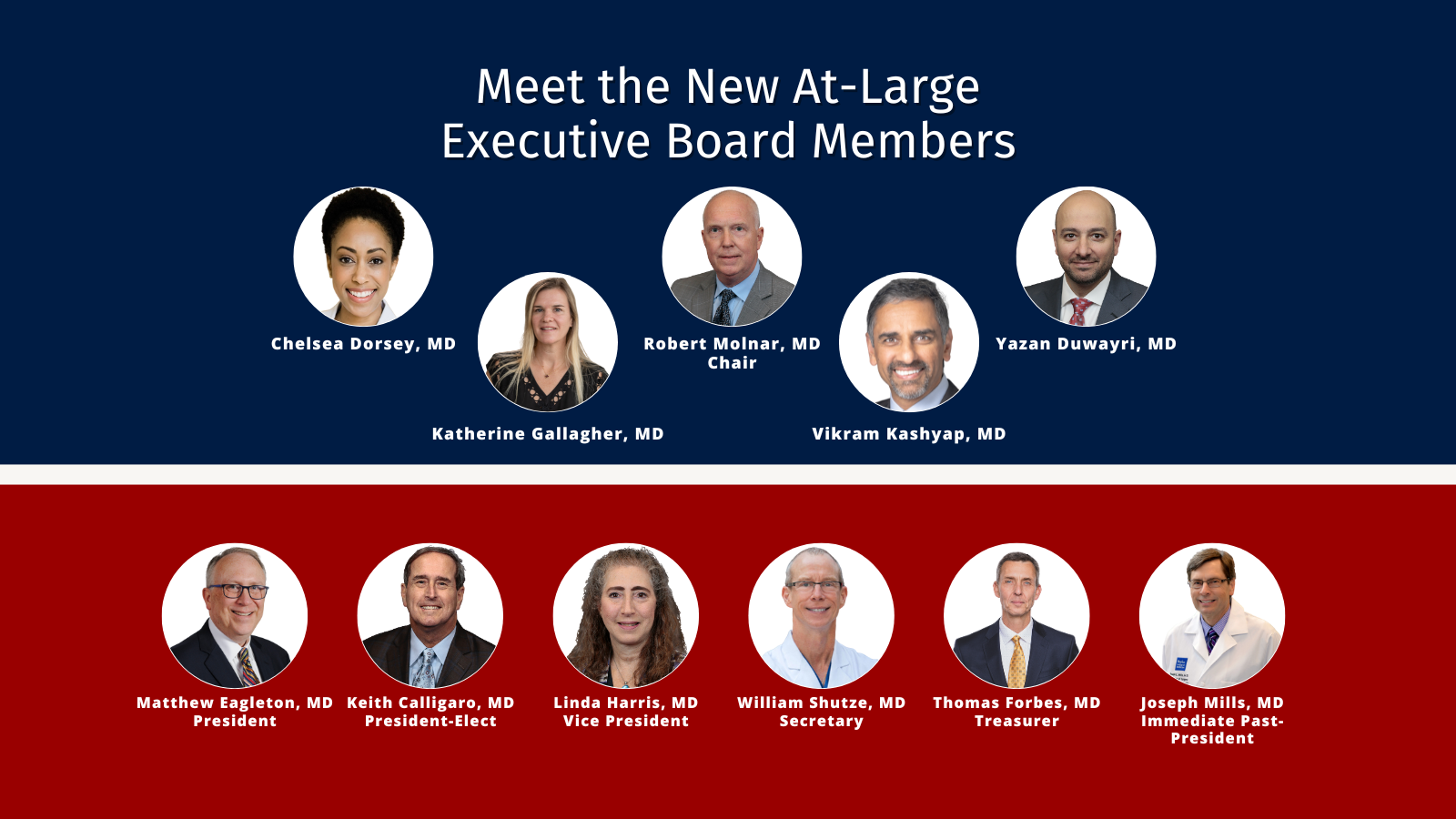 SVS Appoints Five New At-Large Members to Executive Board | Society for ...